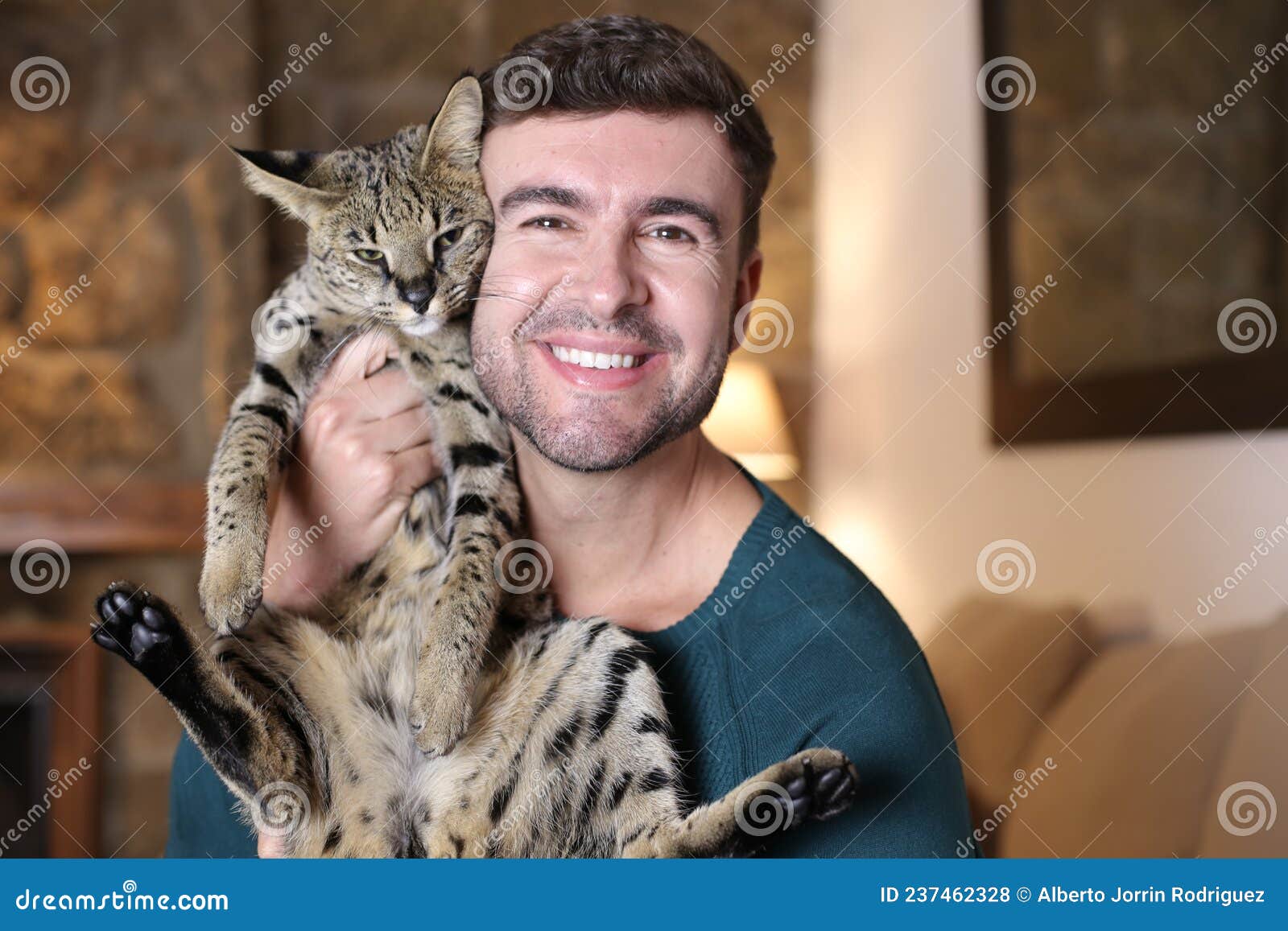 Homem com gato selvagem foto de stock. Imagem de humano - 237462328