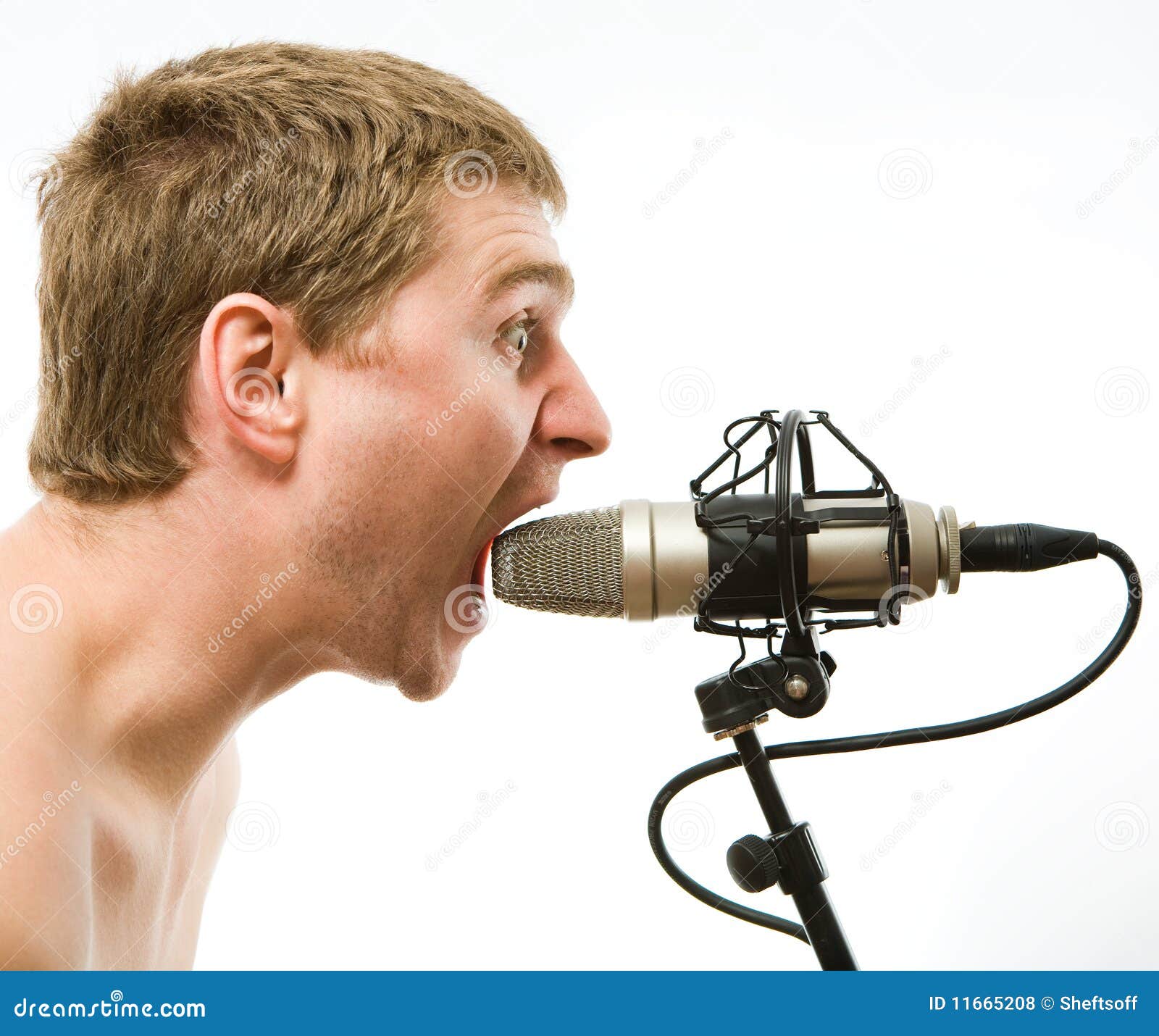 Homem com microfone foto de stock. Imagem de cantora - 11665208