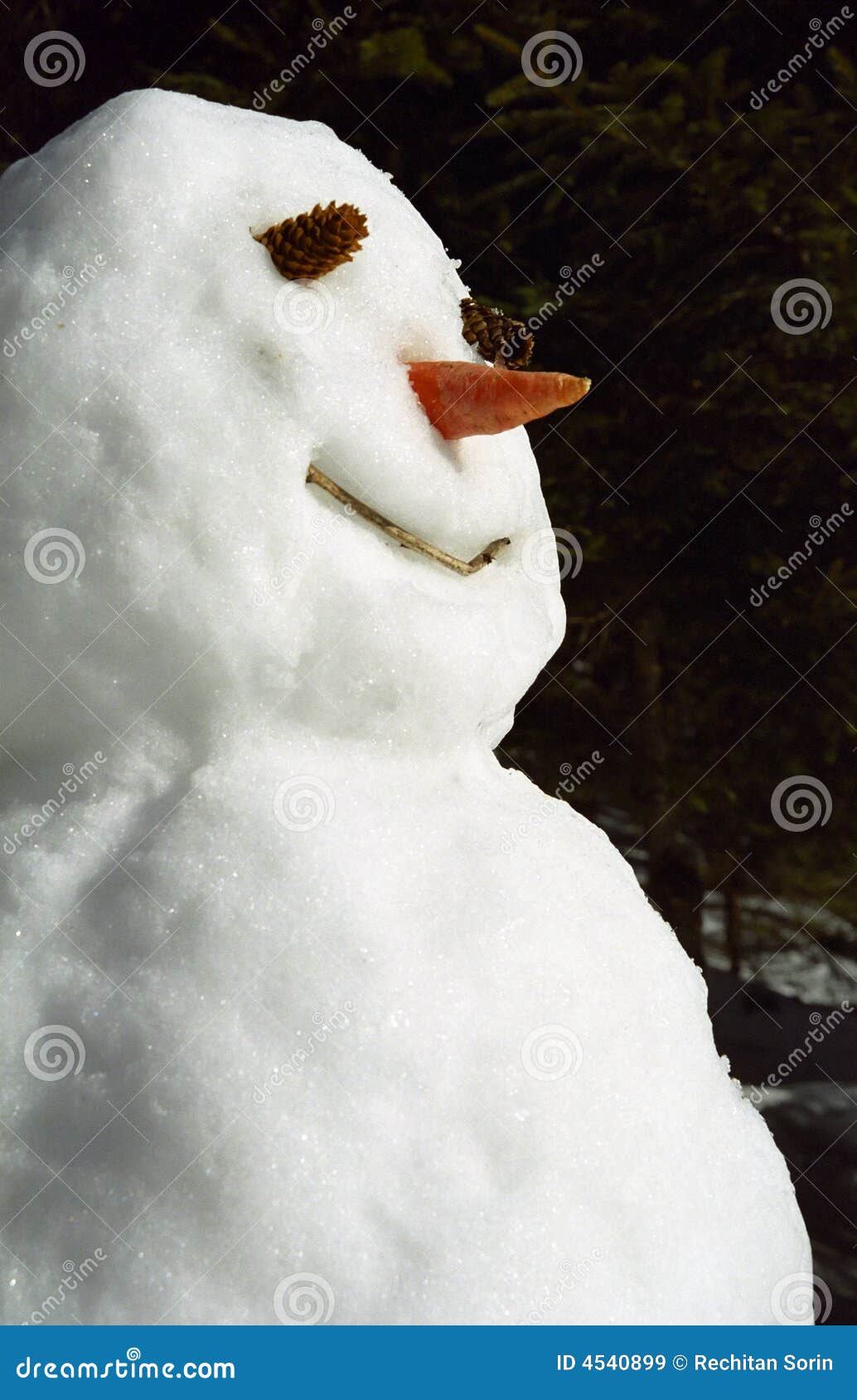 Homem da neve imagem de stock. Imagem de inverno, gelado - 4540899