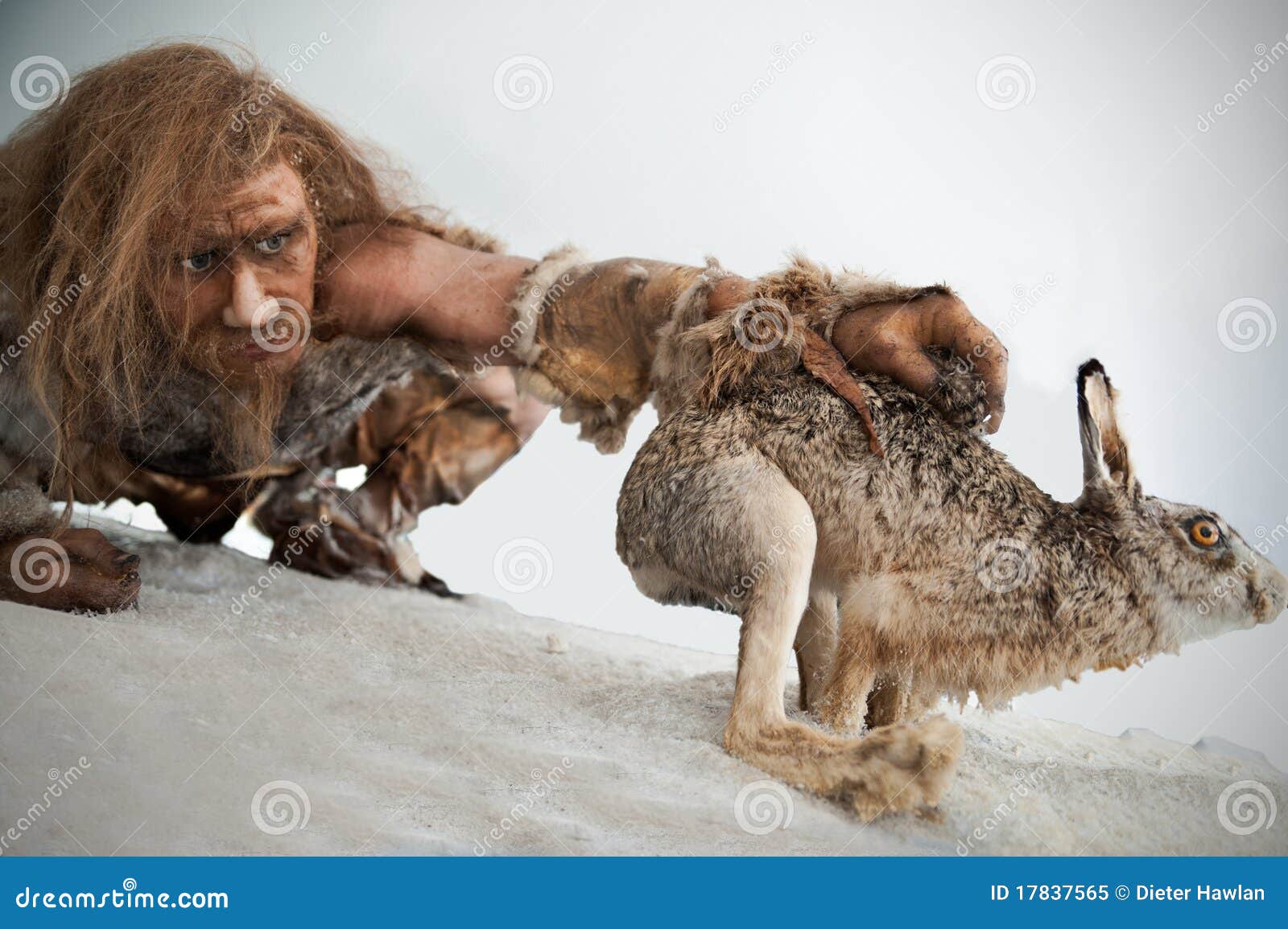 Homem de Stoneage imagem editorial. Imagem de homem, pessoa - 17837565