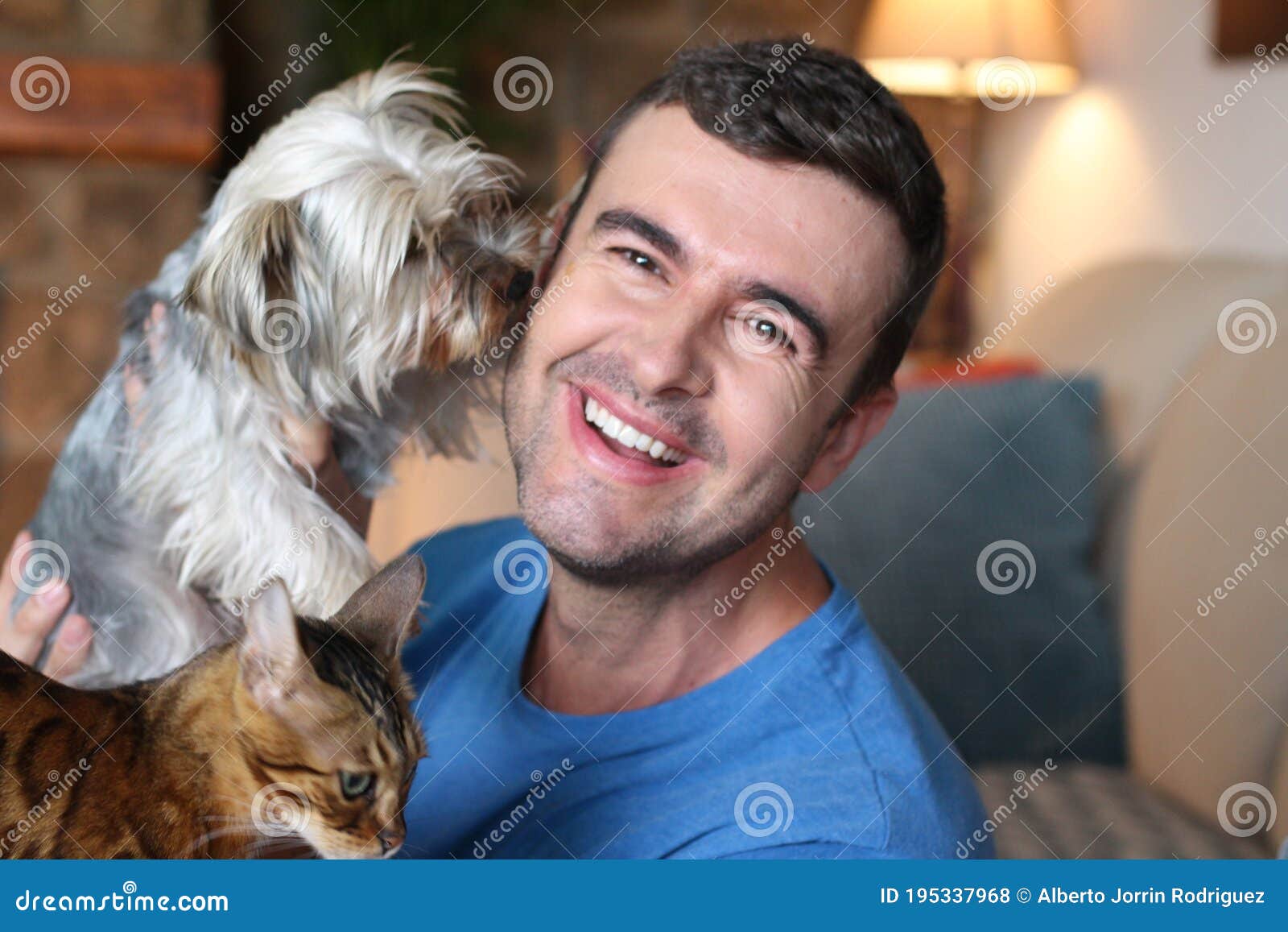 Homem Em Casa Com Gato E Cachorro Foto de Stock - Imagem de canino ...