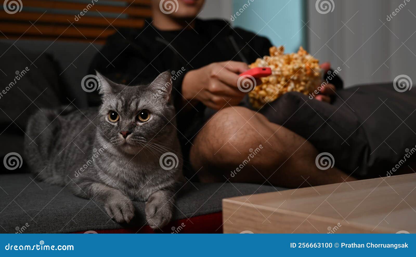 Homem Feliz Com Controle Remoto Comendo Pipoca E Assistindo Filme Na ... Homem Feliz Com Controle Remoto Comendo Pipoca E Assistindo Filme Na ...