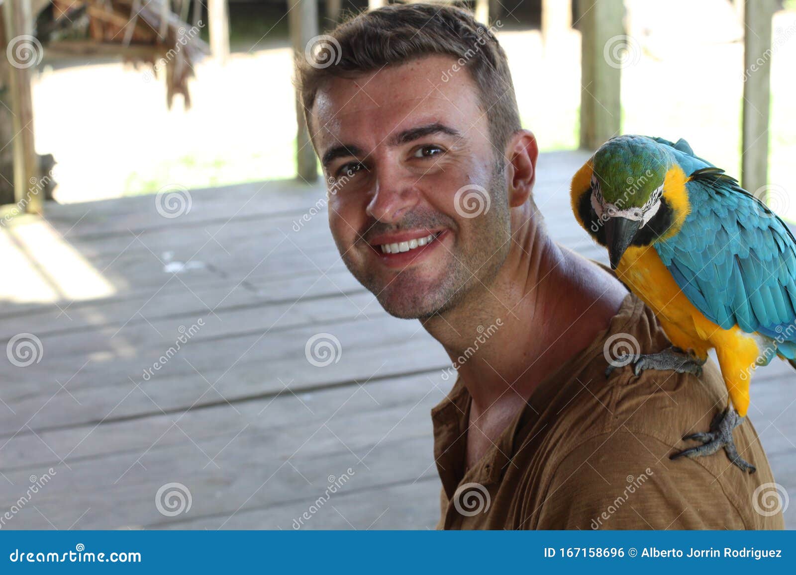 Homem Giro Interagindo Com Uma Ave-arara Foto de Stock - Imagem de ...