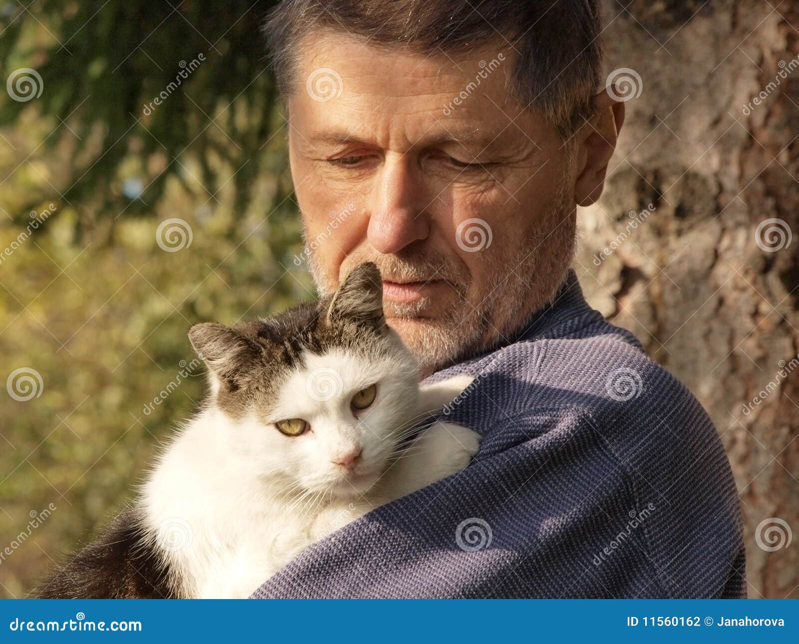 Homem idoso com um gato foto de stock. Imagem de envelhecido - 11560162