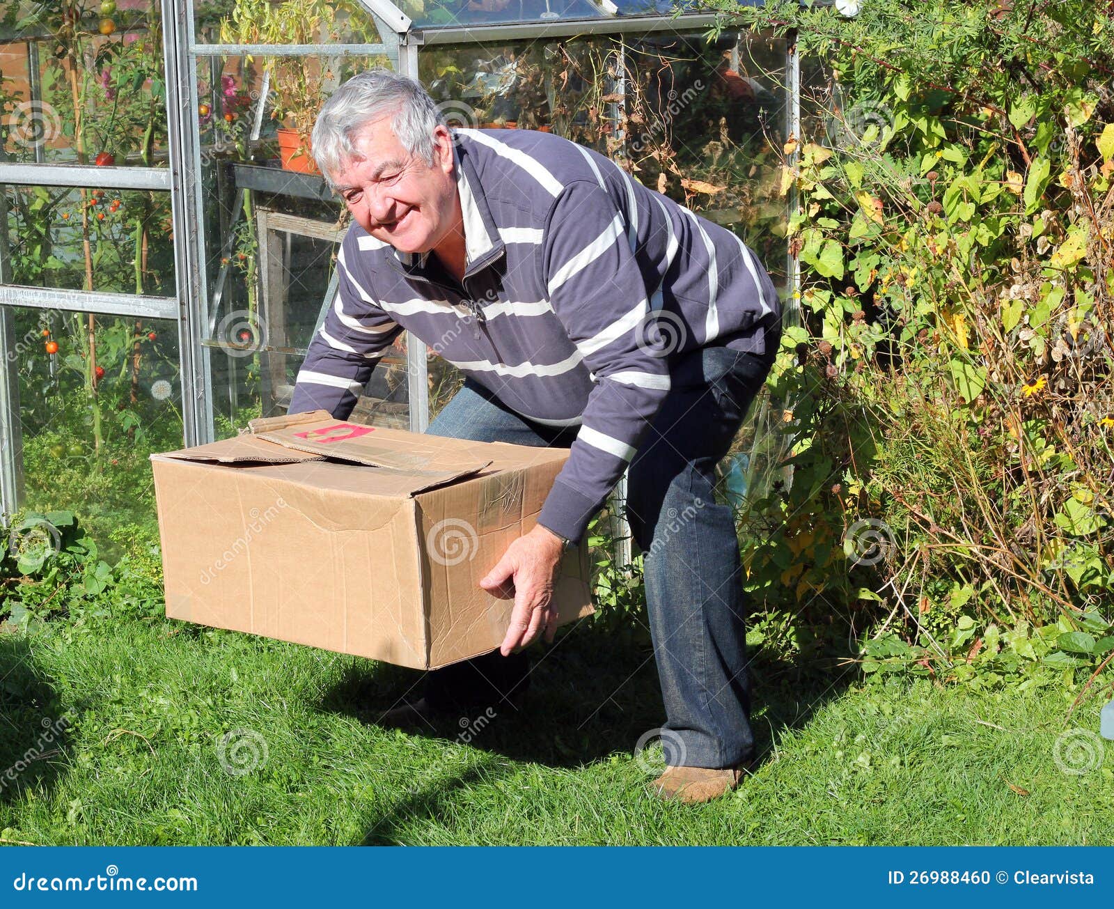 Homem Que Levanta a Caixa Pesada Corretamente. Foto de Stock - Imagem ...