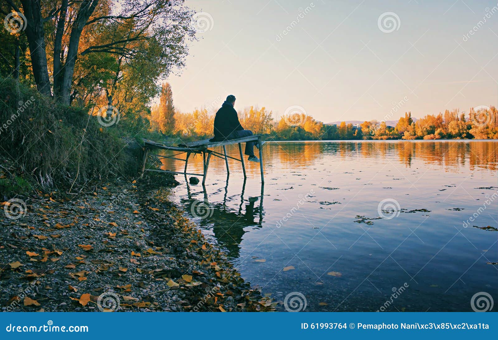 Homem Que Senta-se No Quebra-mar De Madeira Foto de Stock - Imagem de ...