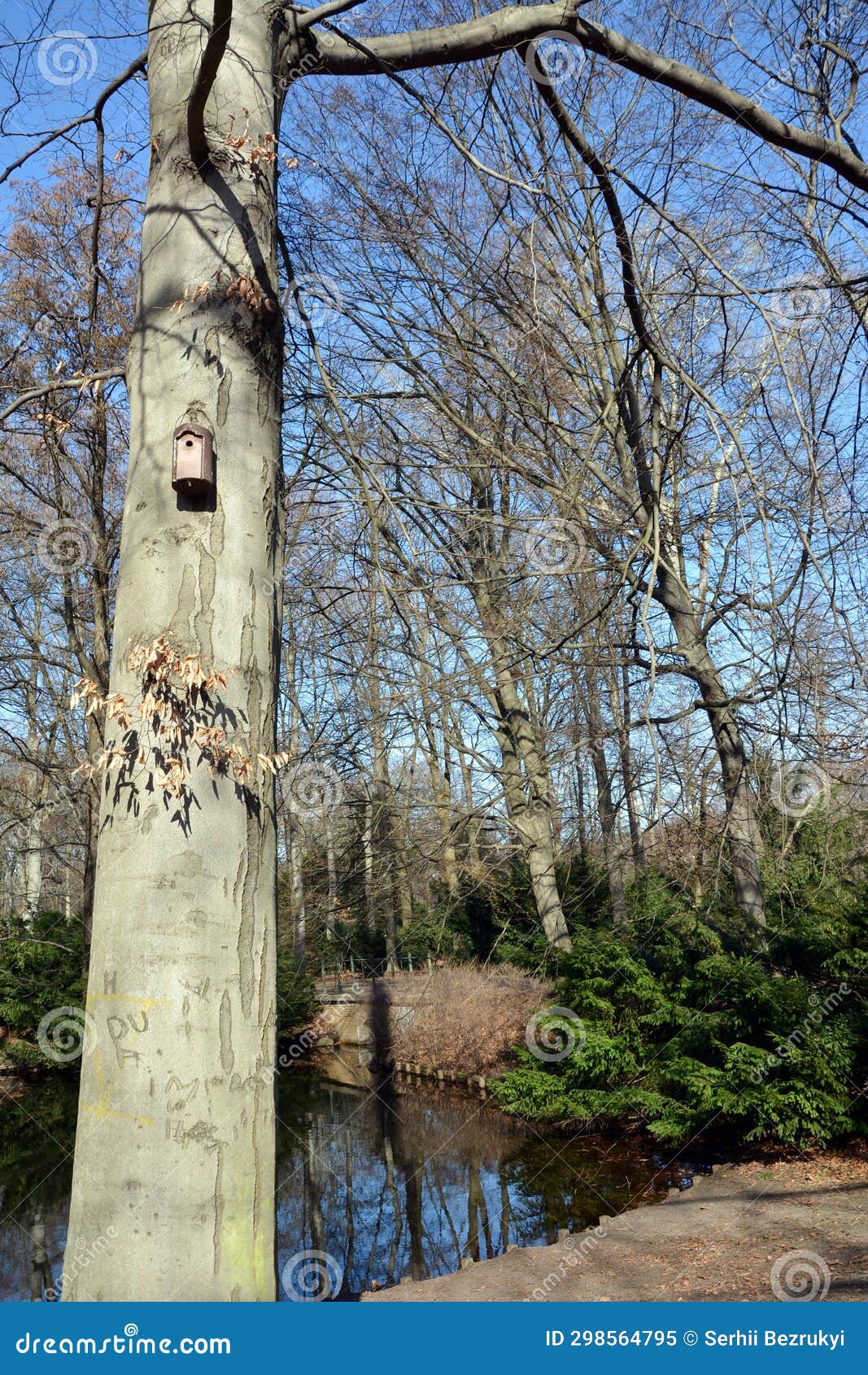 A Birdhouse Hangs on a Tree in the Park. Trees without Leaves Stock ...