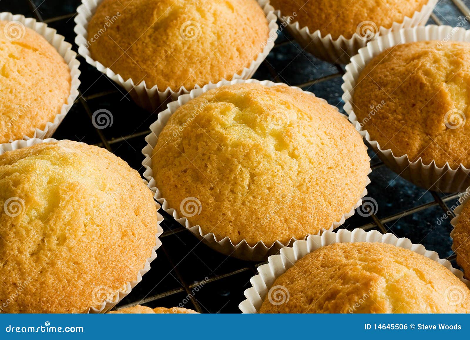 Homemade baked buns stock photo. Image of fresh, cooking - 14645506