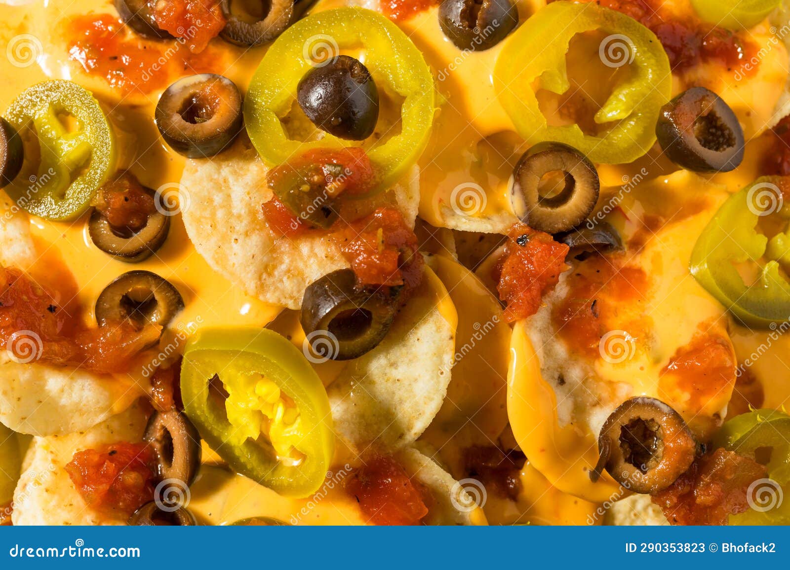 Homemade Basic Mexican Nachos with Cheese Stock Image - Image of chip ...