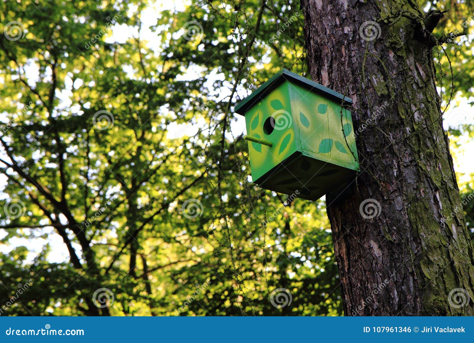 Bird home on the tree stock photo. Image of bark, work - 107961346