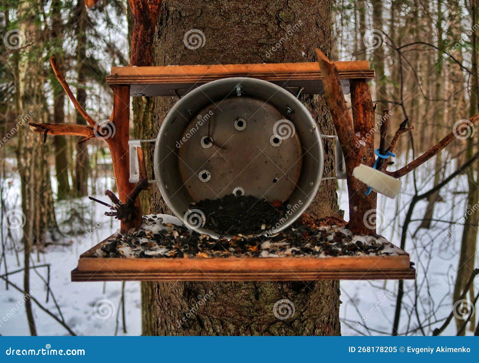 Homemade Birdhouse for Birds on a Tree Stock Image - Image of forest ...
