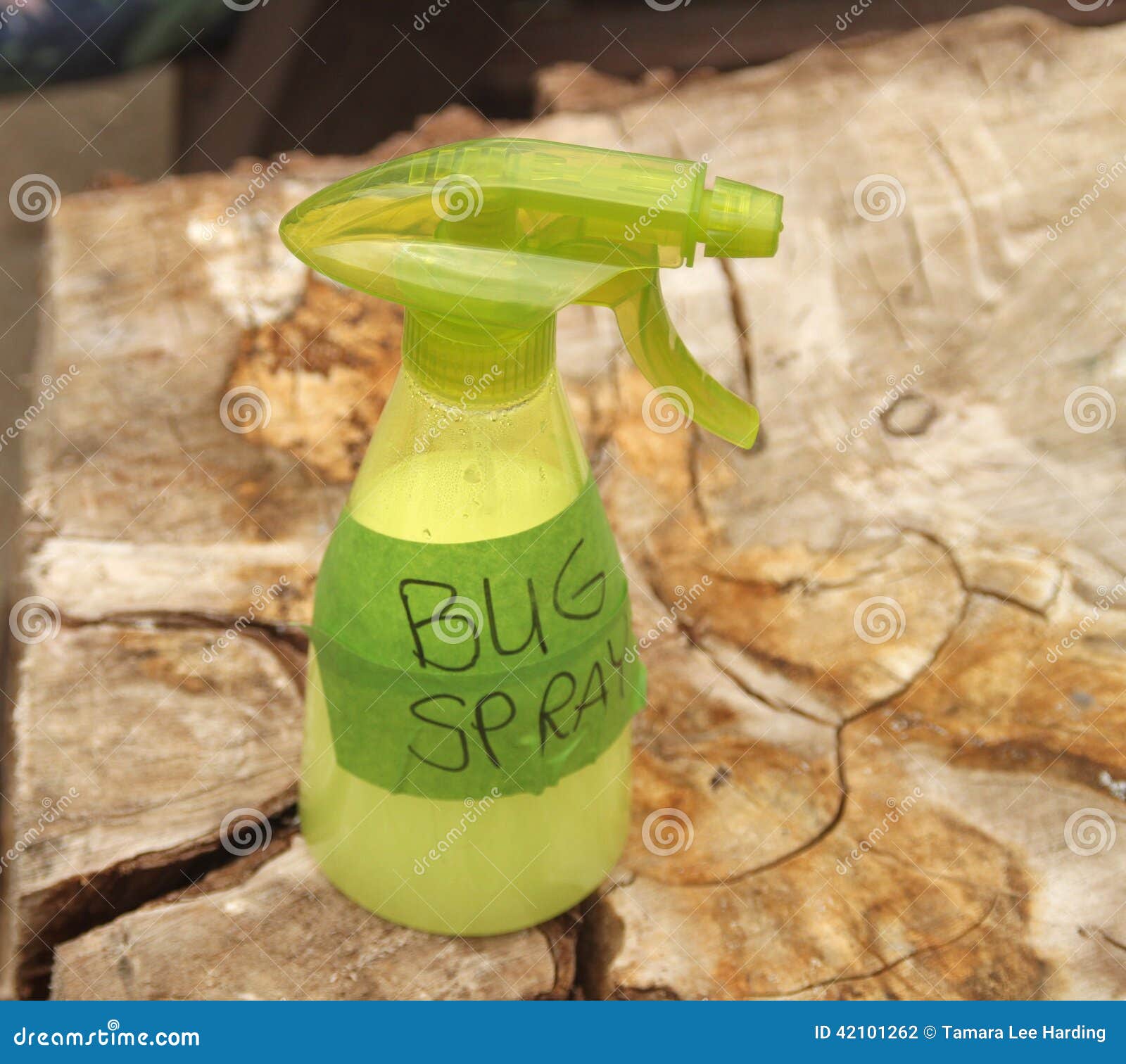Homemade bug spray stock photo. Image of biology, hand - 42101262