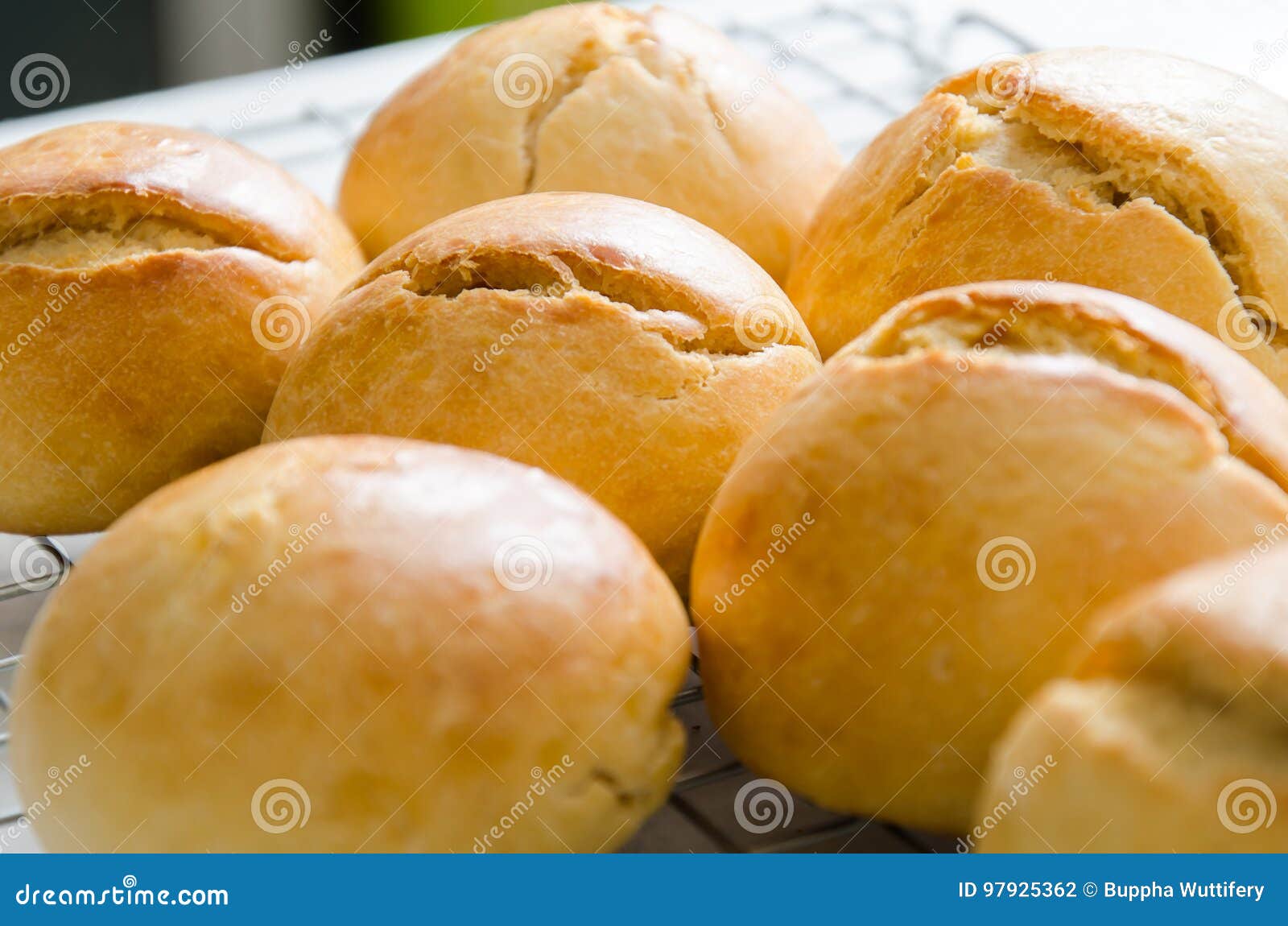 Homemade Buns on Cooking Rack Stock Photo - Image of healthy, dessert ...