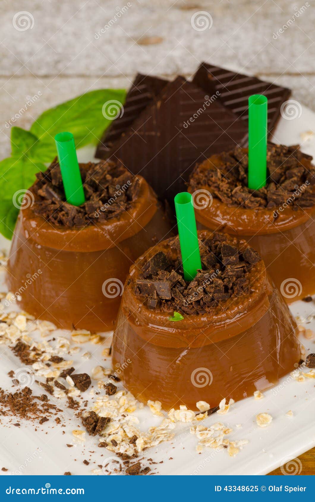 Homemade Chocolate Ice Pops Stock Image - Image of sweet, food: 43348625