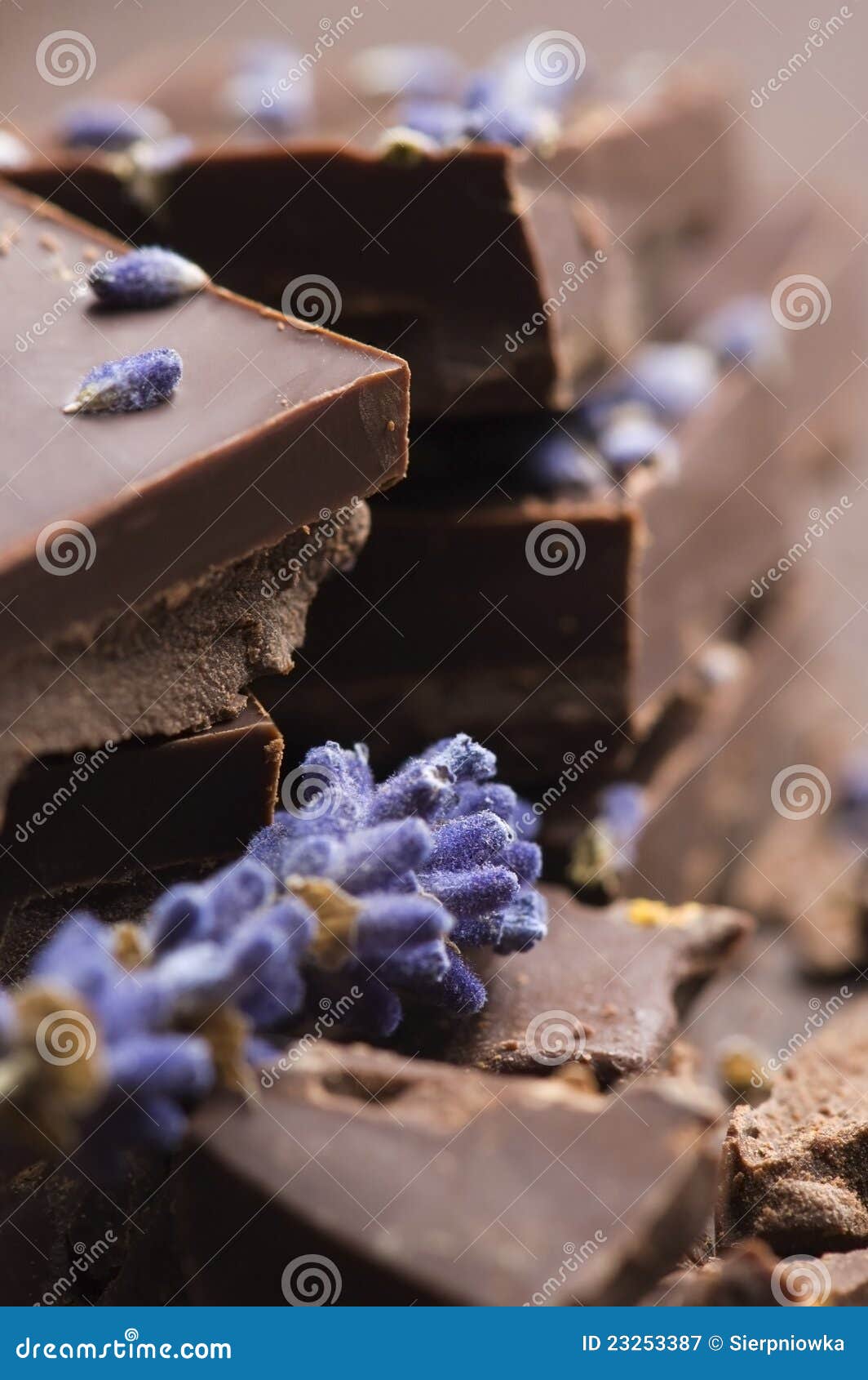 Homemade Chocolate with Lavender Flowers Stock Image - Image of sauce ...