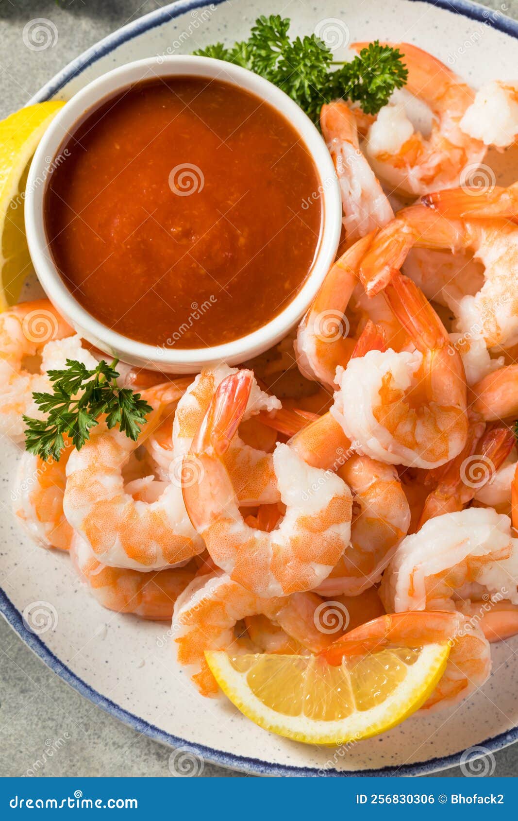 Homemade Cold Shrimp Cocktail Stock Photo - Image of shrimp, appetizer ...