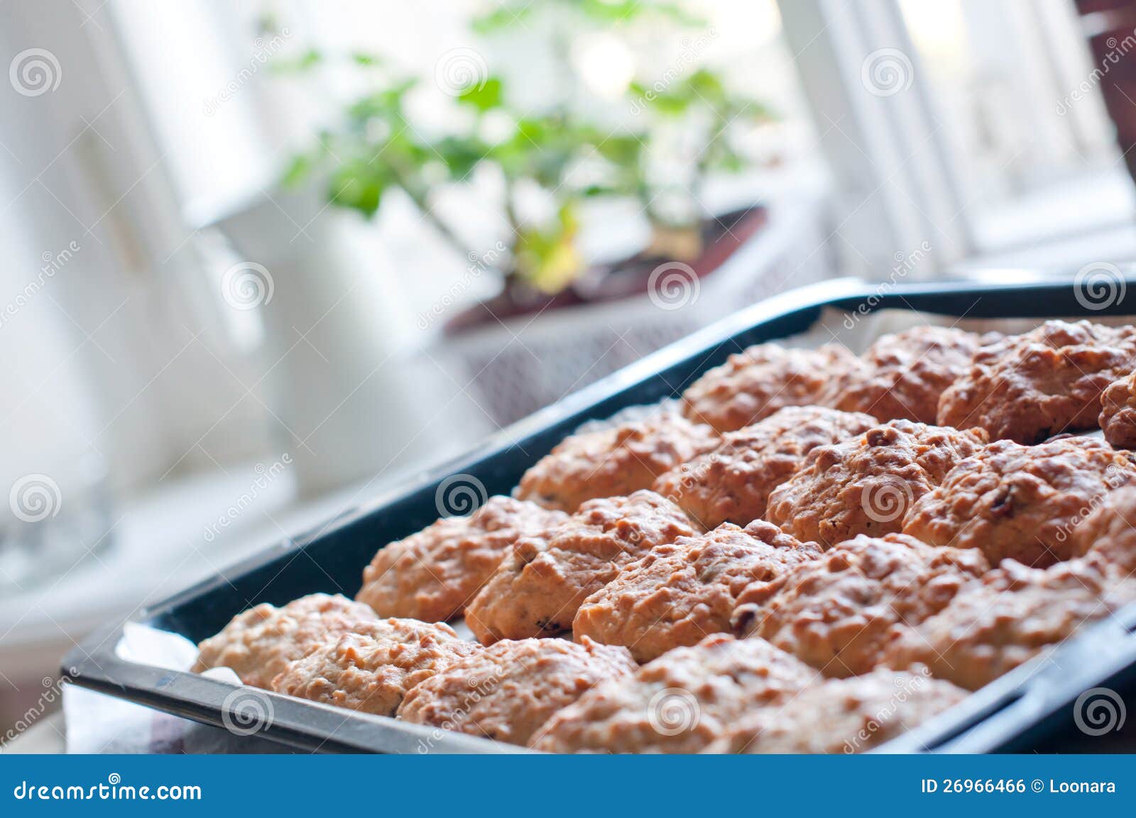 Homemade Cookies on a Baking Tray Stock Photo - Image of oatmeal ...