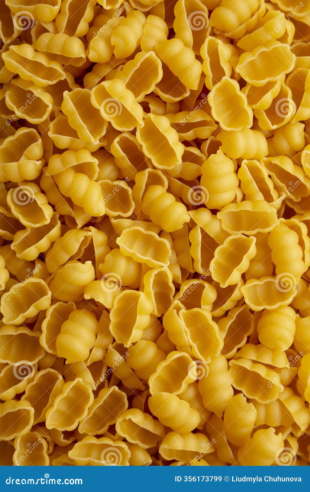 Homemade Dry Raw Gnocchi Pasta Stock Image - Image of tasty, healthy ...