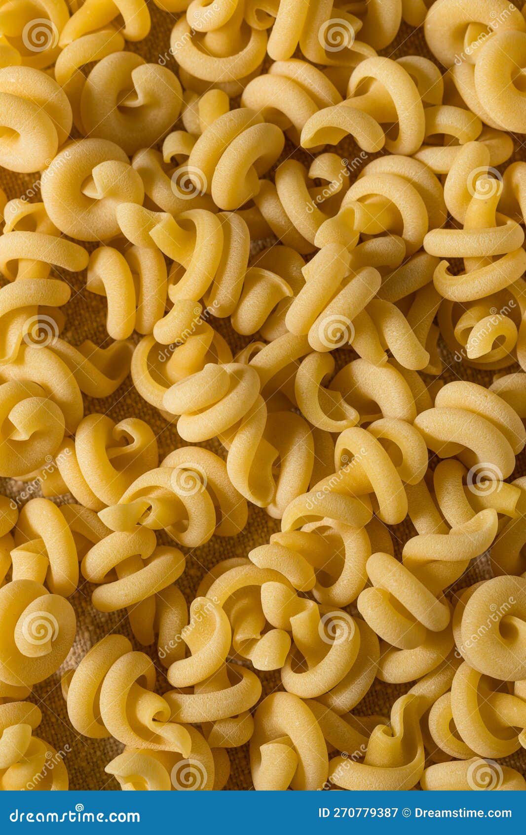 Homemade Dry Trottole Pasta Stock Image - Image of food, healthy: 270779387