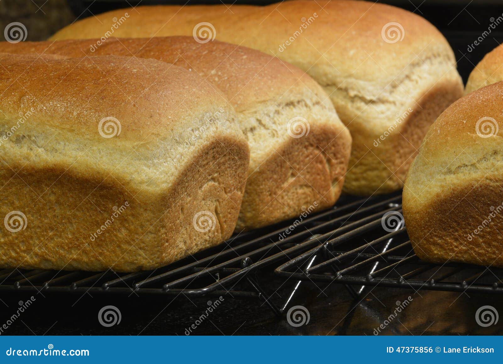 Homemade Fresh Bread stock photo. Image of bakery, baked - 47375856