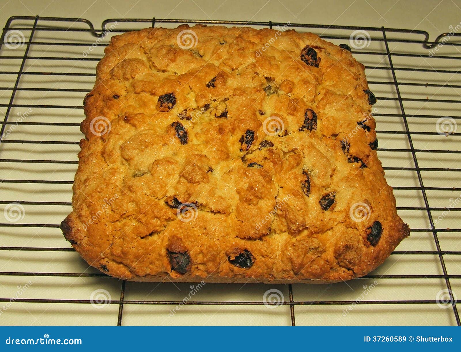 Homemade Fruit Cake Heavy Cake Stock Image - Image of sweets, bakery ...