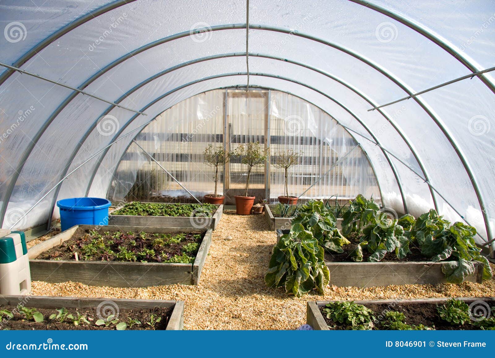 Homemade Greenhouse stock image. Image of agriculture - 8046901