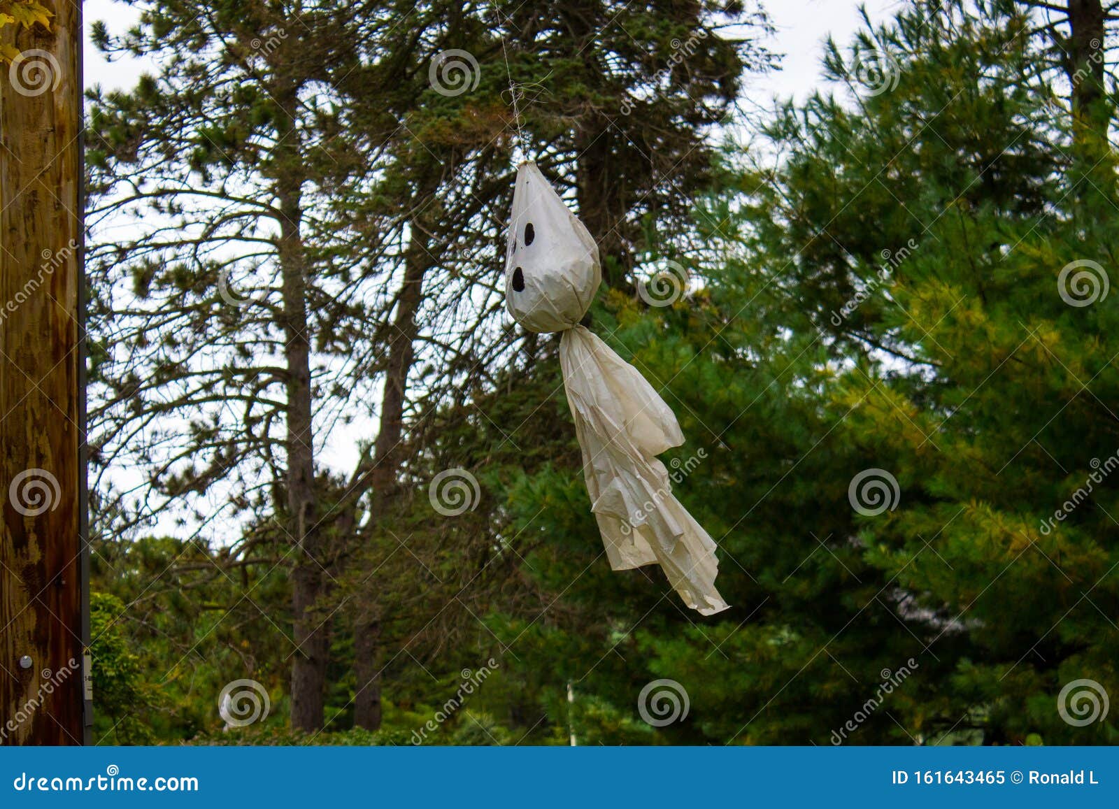 Homemade Halloween Ghost Hang Up on the Tree Stock Image - Image of ...