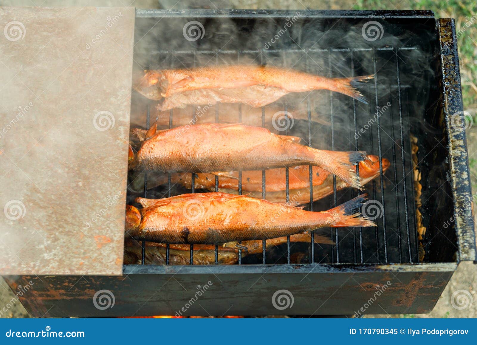 Homemade Hot Smoked Fish Process Stock Image - Image of outdoor, fish ...