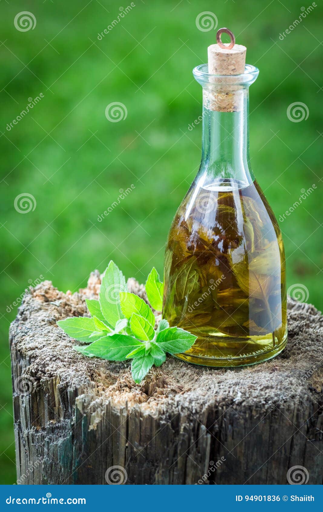 Homemade Liqueur Made of Alcohol and Garlic Stock Photo - Image of ...