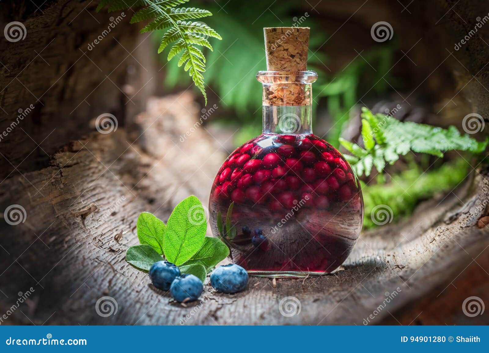 Homemade Liqueur Made of Blueberries and Alcohol Stock Photo - Image of ...