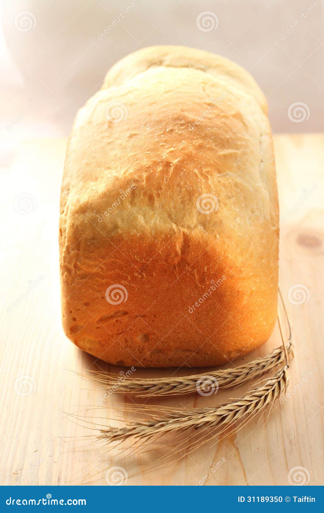 Homemade Loaf of Wheat Bread Stock Photo - Image of grain, sunlight ...