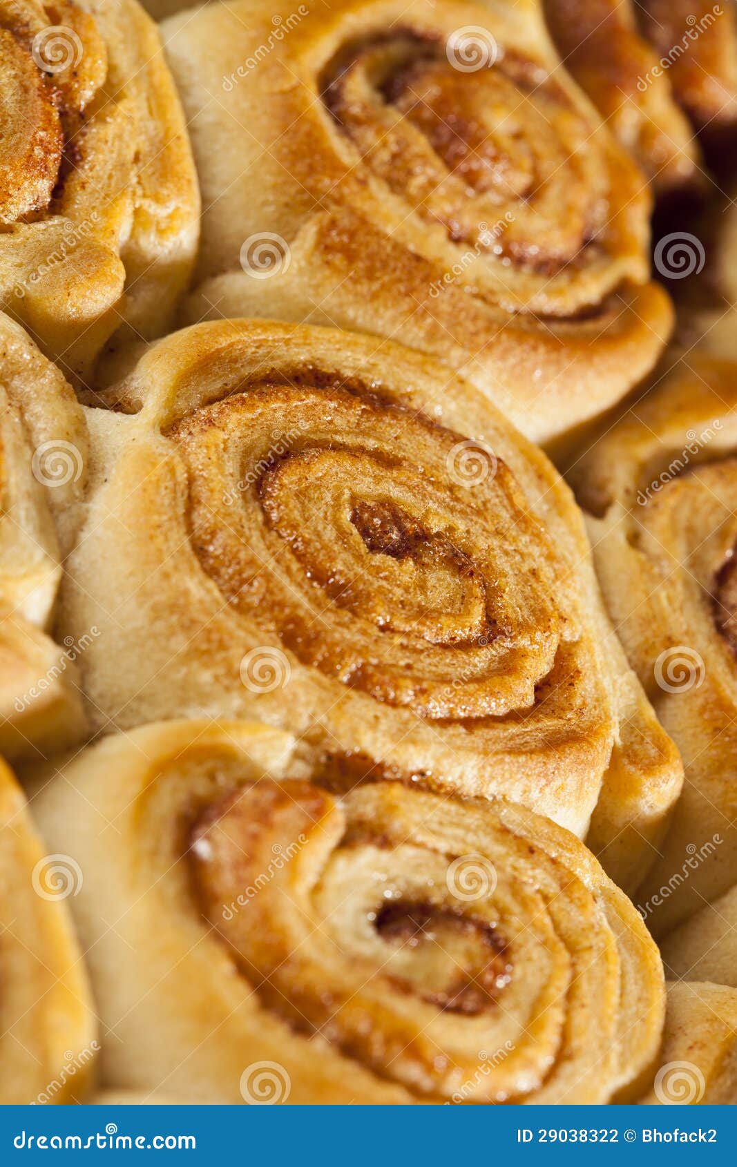 Homemade Mini Cinnamon Rolls Stock Photo - Image of spiral, cinnamon ...