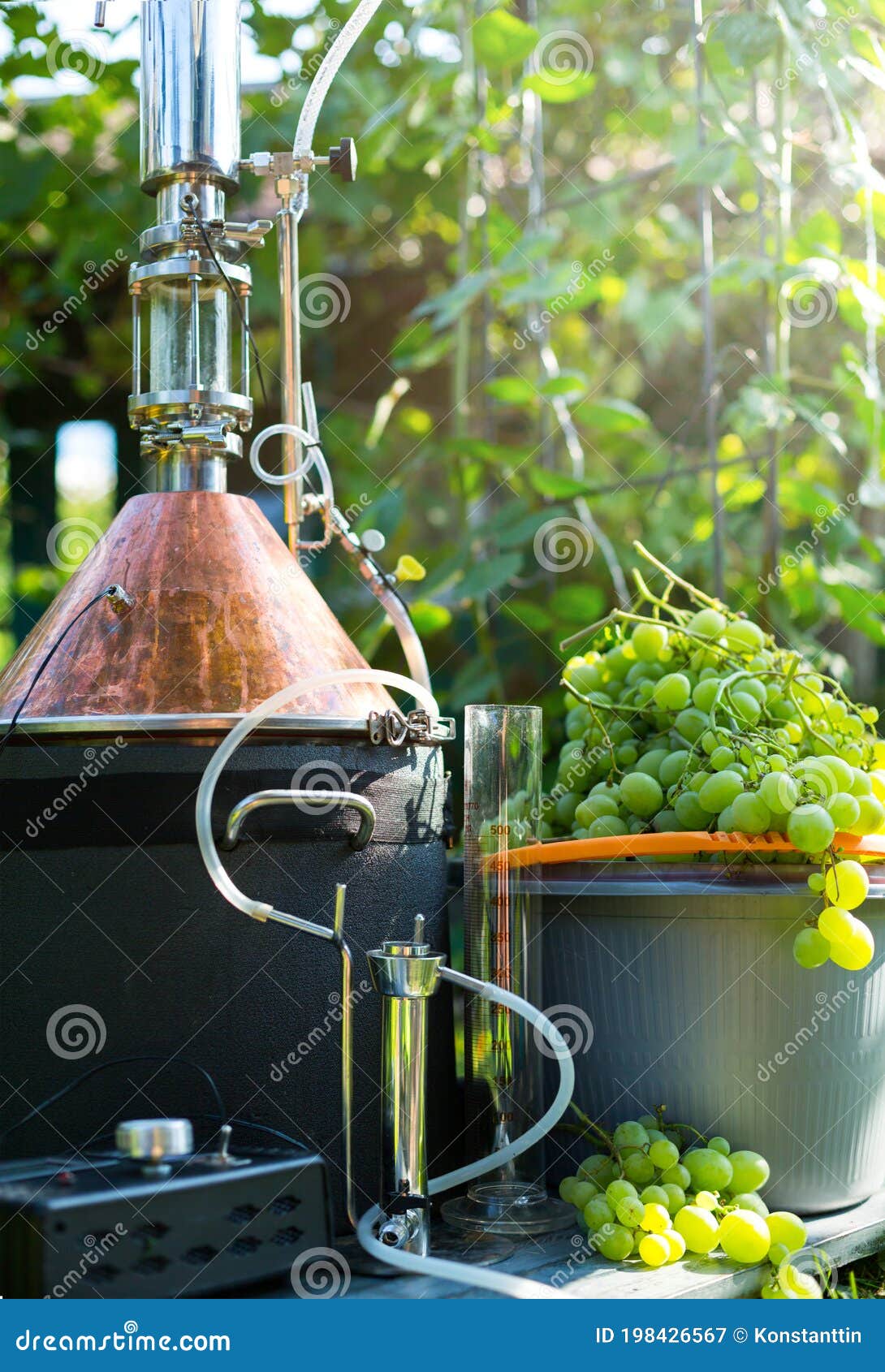 Homemade Moonshine Winemaking; White Grape and Moonshine Still for Home ...