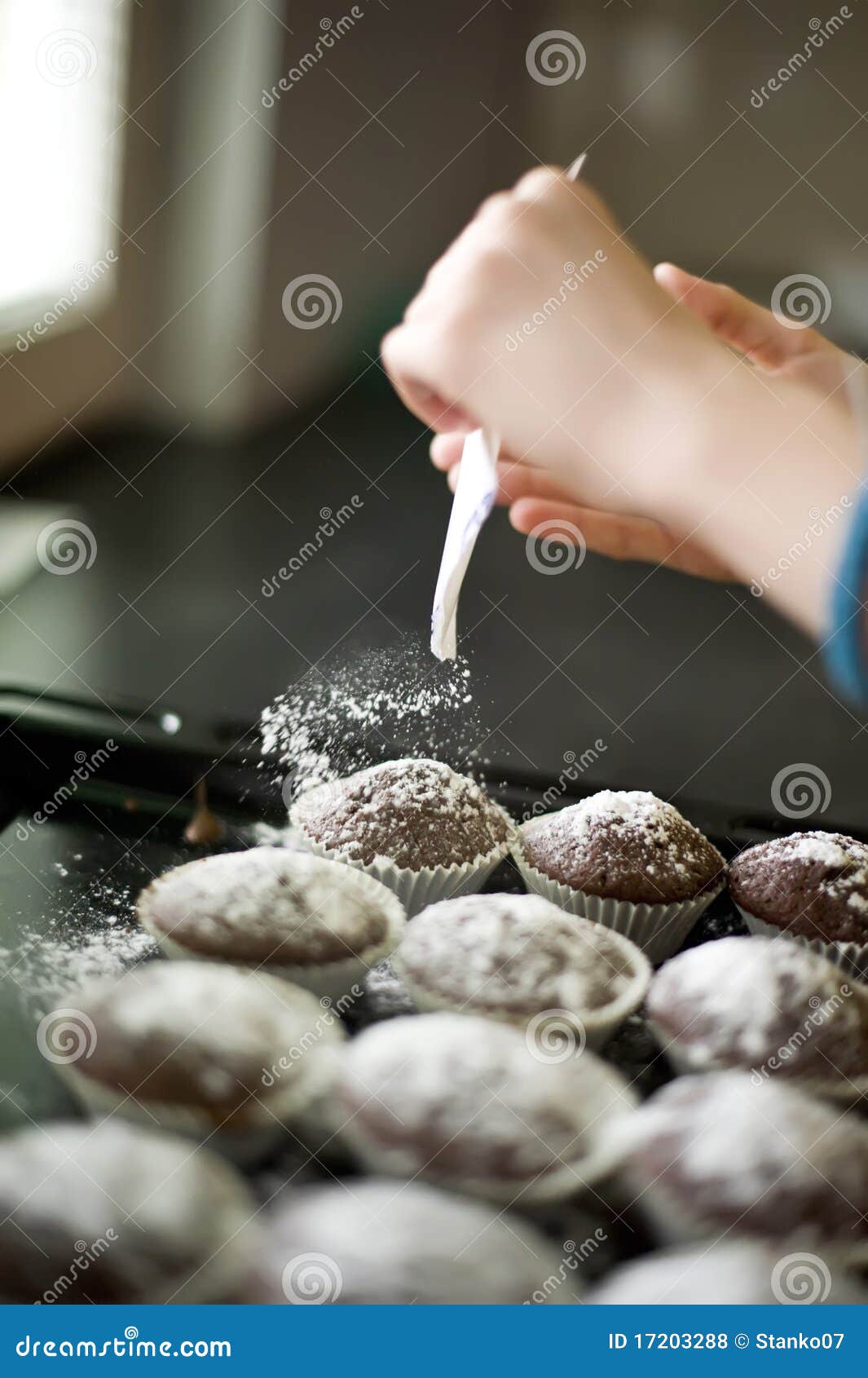 Homemade muffins stock photo. Image of appetite, cacao - 17203288