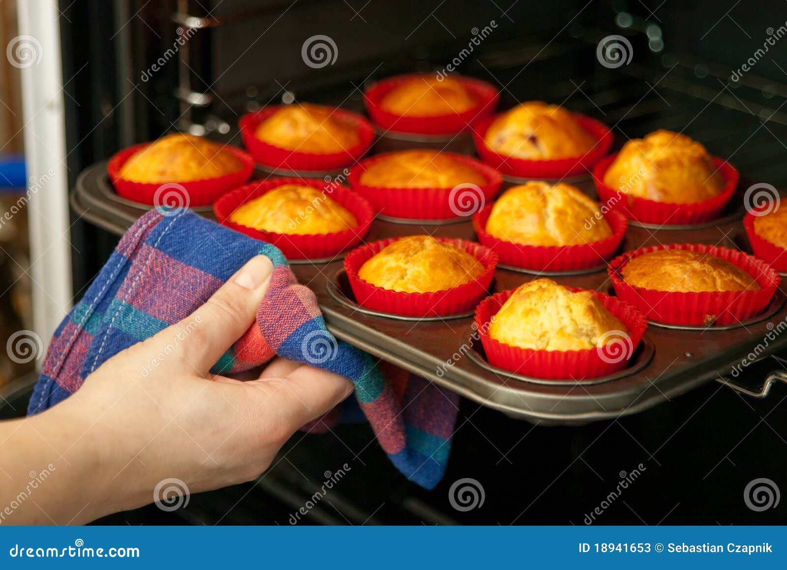 Homemade muffins stock image. Image of muffin, woman - 18941653