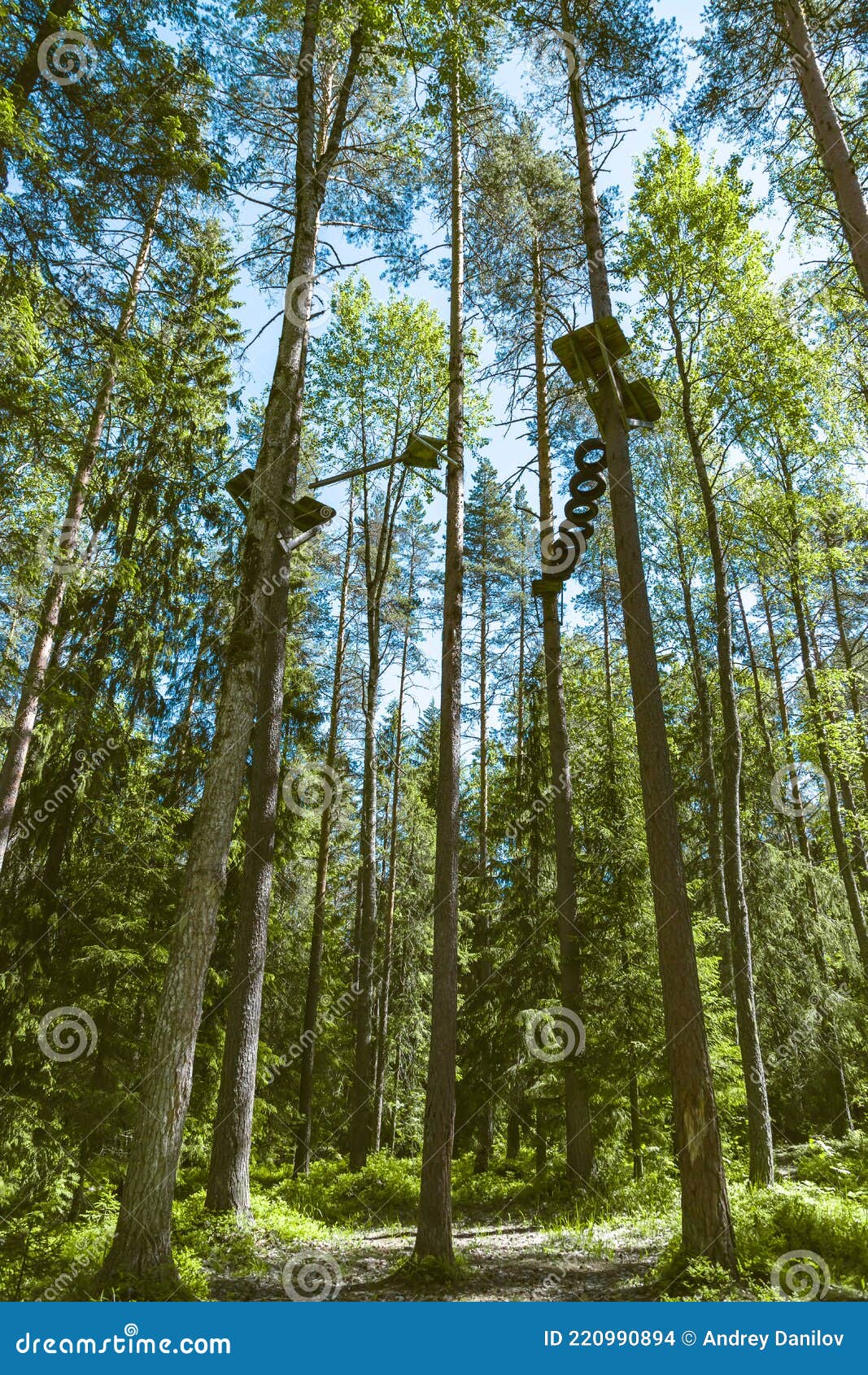 Homemade Obstacle Course in the Forest Stock Photo - Image of tree ...
