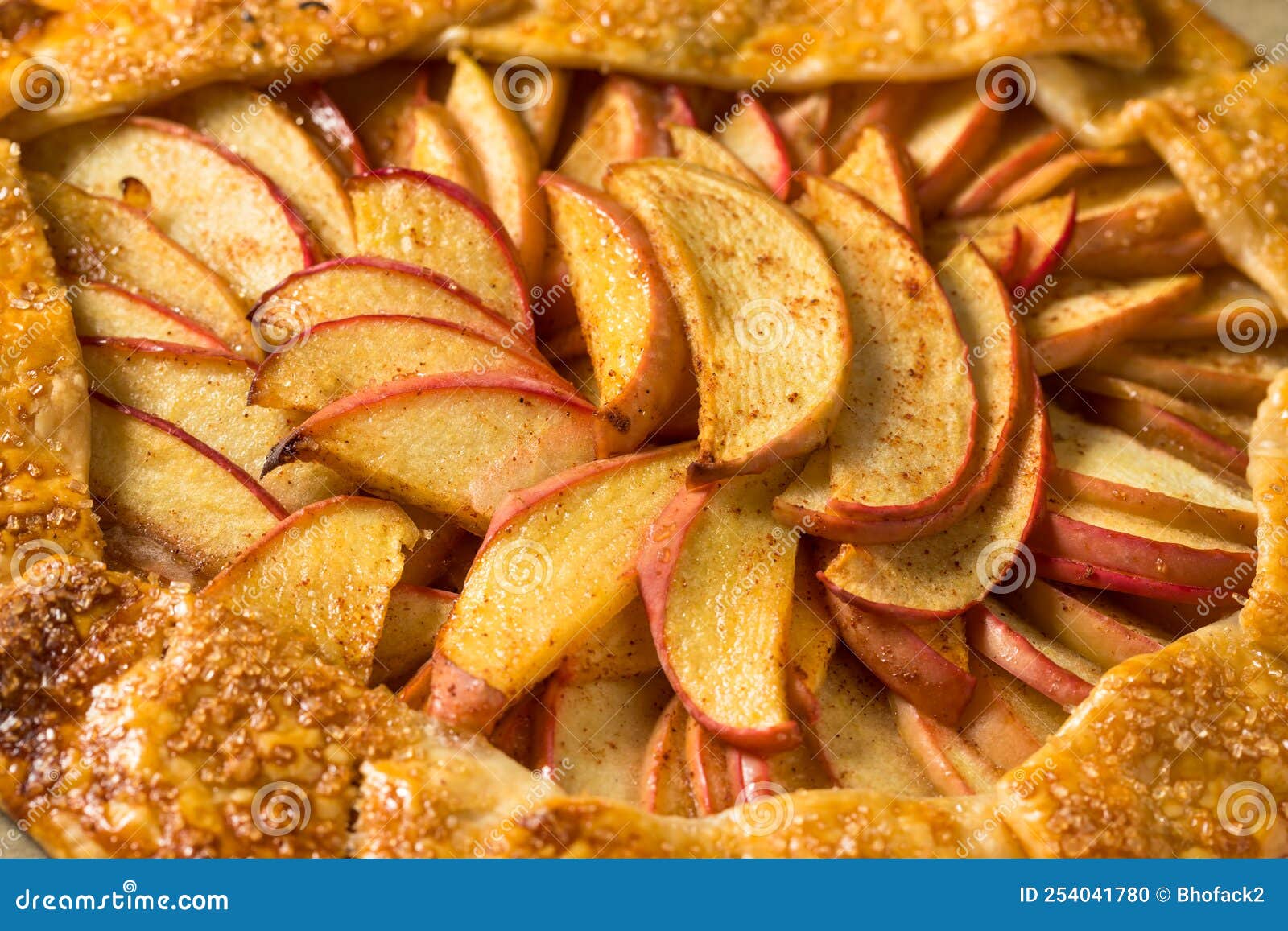 Homemade Organic Fall Apple Galette Pastry Stock Photo - Image of fall ...