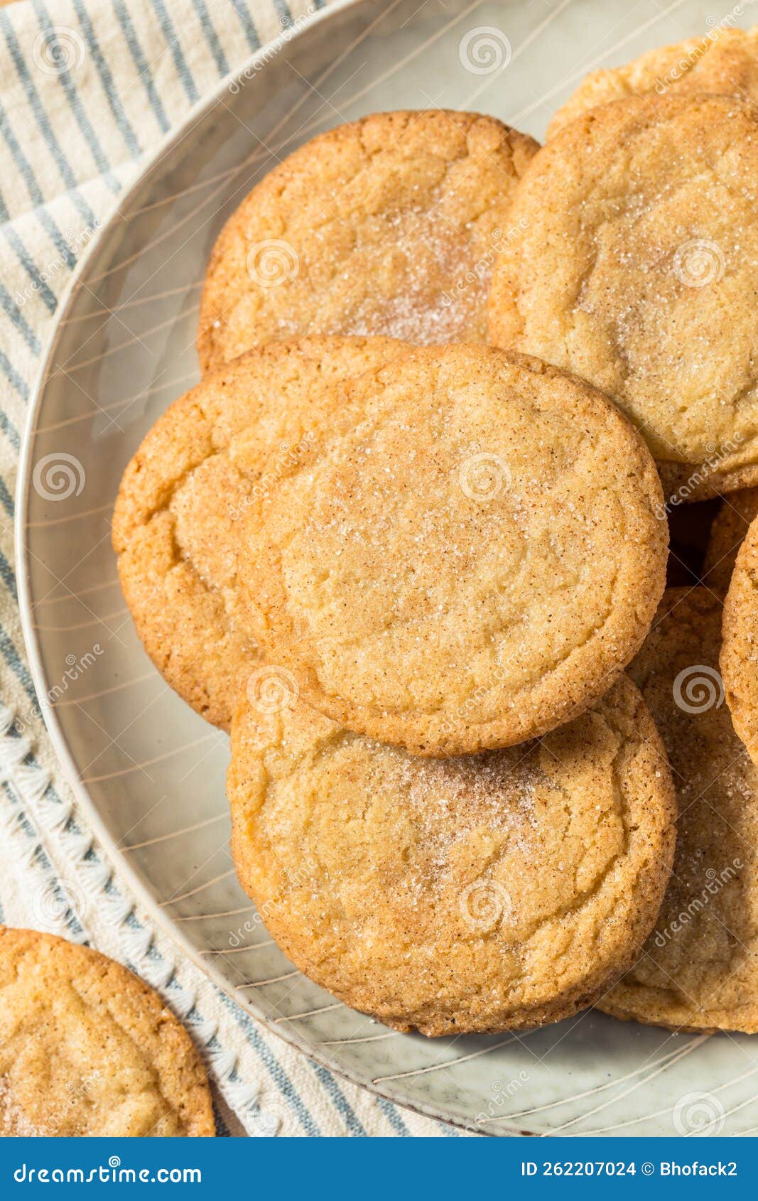 Homemade Organic Snickerdoodle Cookies Stock Photo - Image of biscuit ...
