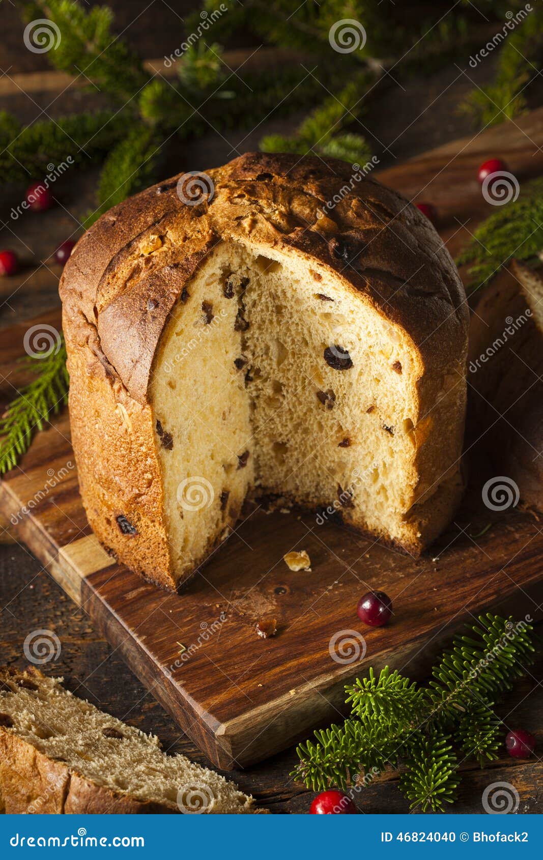 Homemade Panettone Fruit Cake Stock Photo - Image of food, homemade ...