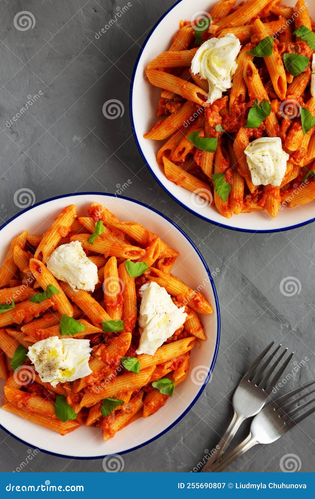 Homemade Penne Alla Vodka with Bacon, Cheese and Basil Stock Image ...
