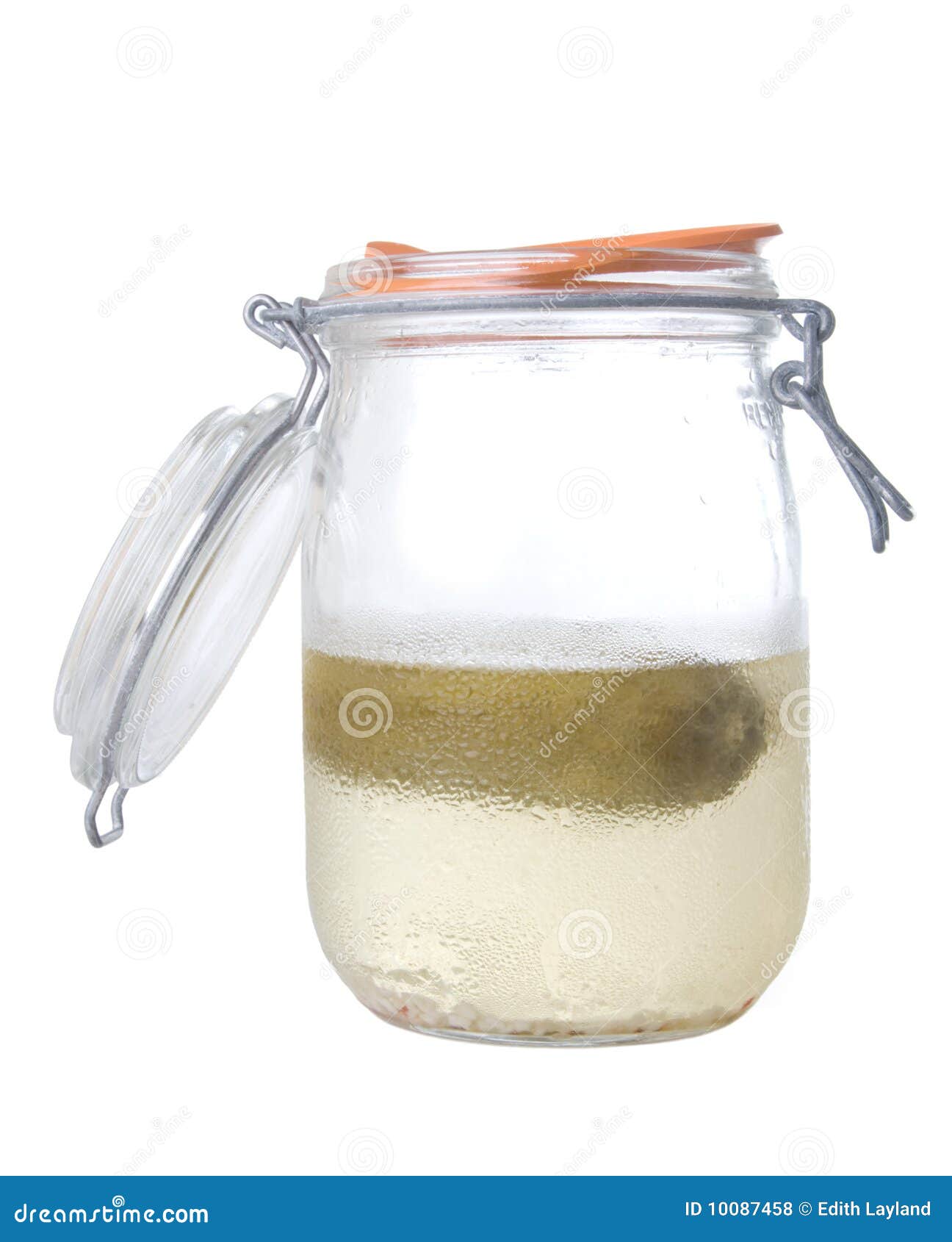 Homemade Pickle Jar almost Empty Stock Photo - Image of delicious ...