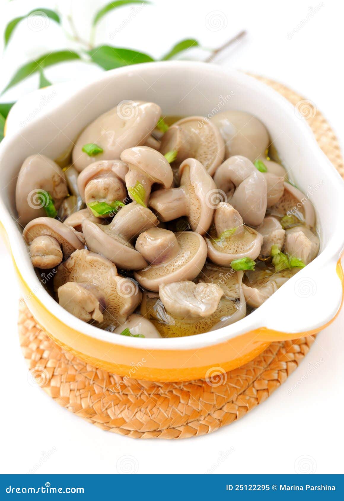 Homemade Pickled Annulated Boletus Stock Image - Image of annulated ...