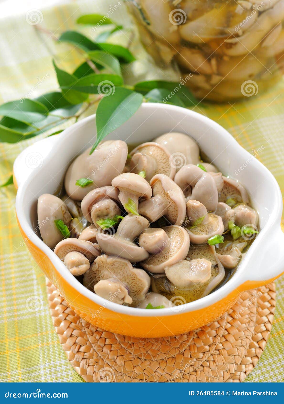 Homemade Pickled Annulated Boletus Stock Photo - Image of preserved ...