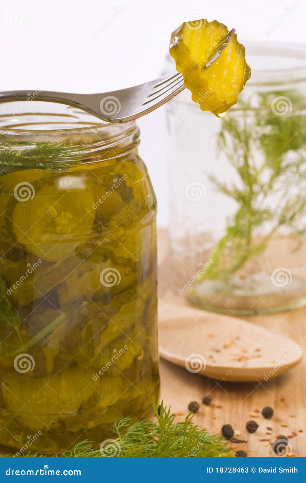 Homemade pickles stock image. Image of curing, cooking - 18728463