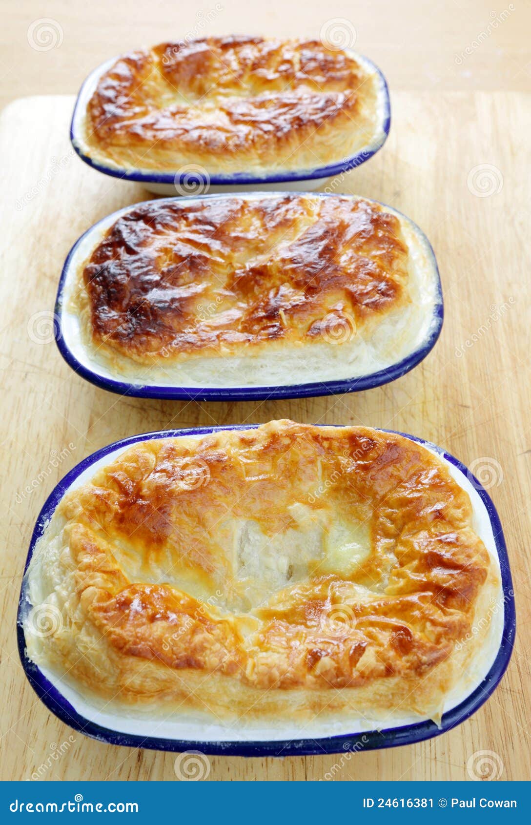 Homemade pies vertical stock image. Image of pastry, baking - 24616381