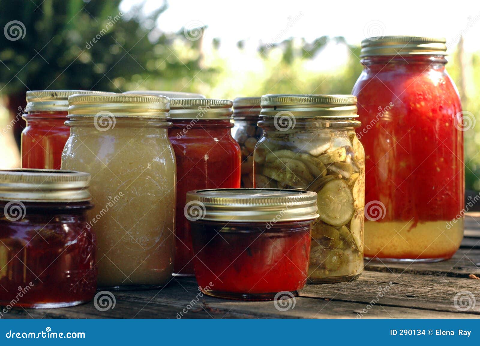 Homemade Preserves stock photo. Image of garden, bottles - 290134