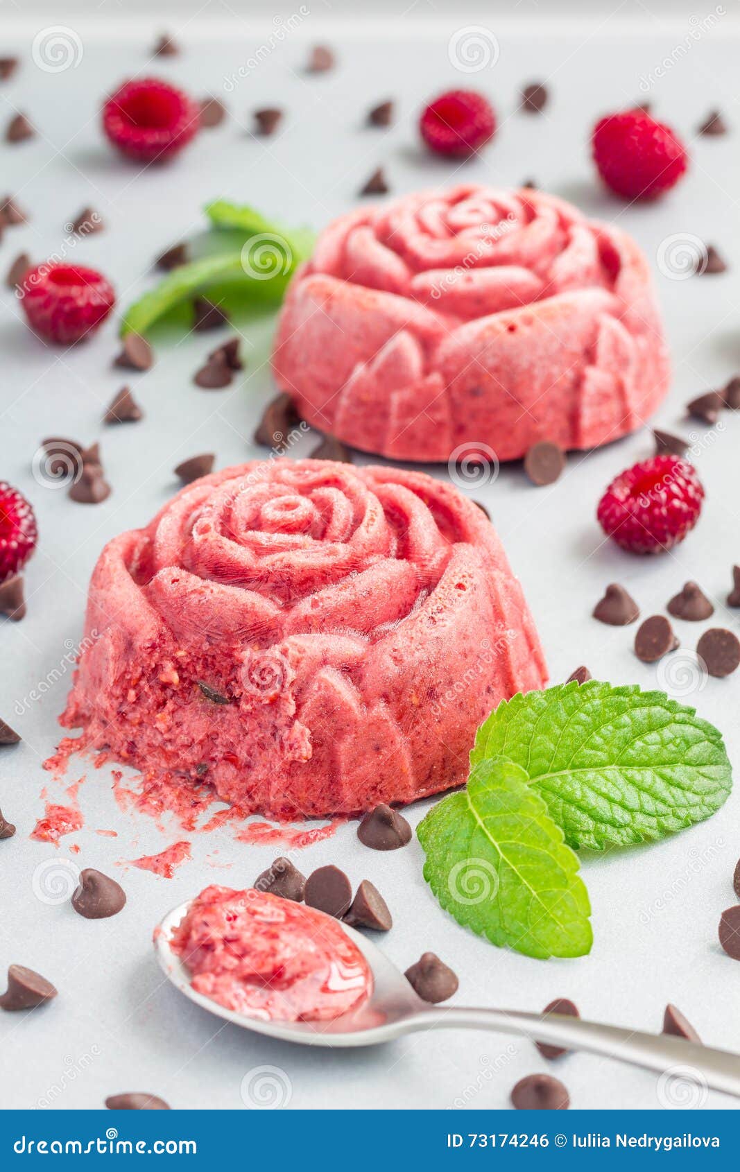 Homemade Raspberry, Yogurt, Chocolate Chips Ice, Flower Shaped Stock ...