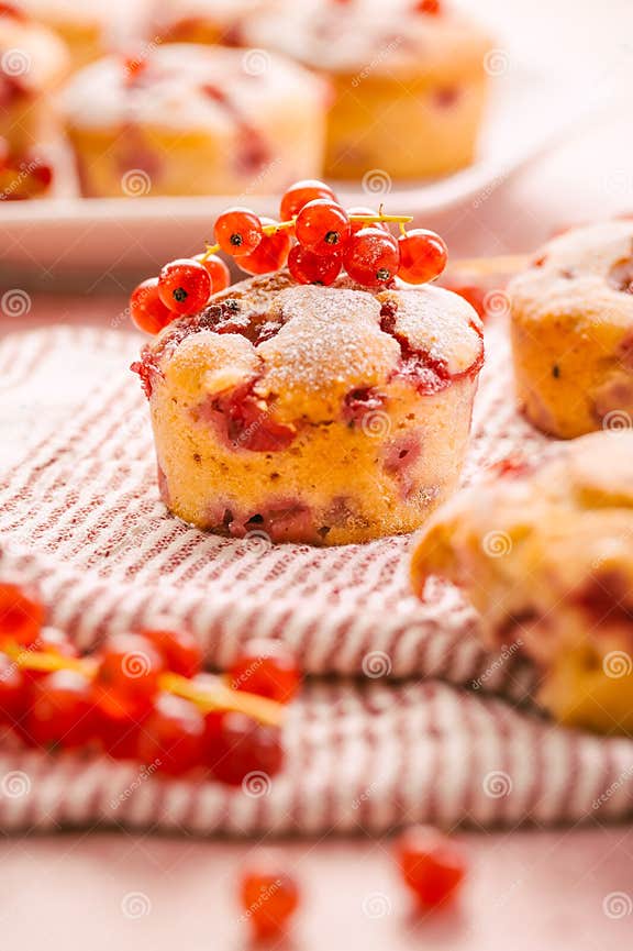 Homemade Red Currant Muffins Stock Image - Image of white, food: 328456597