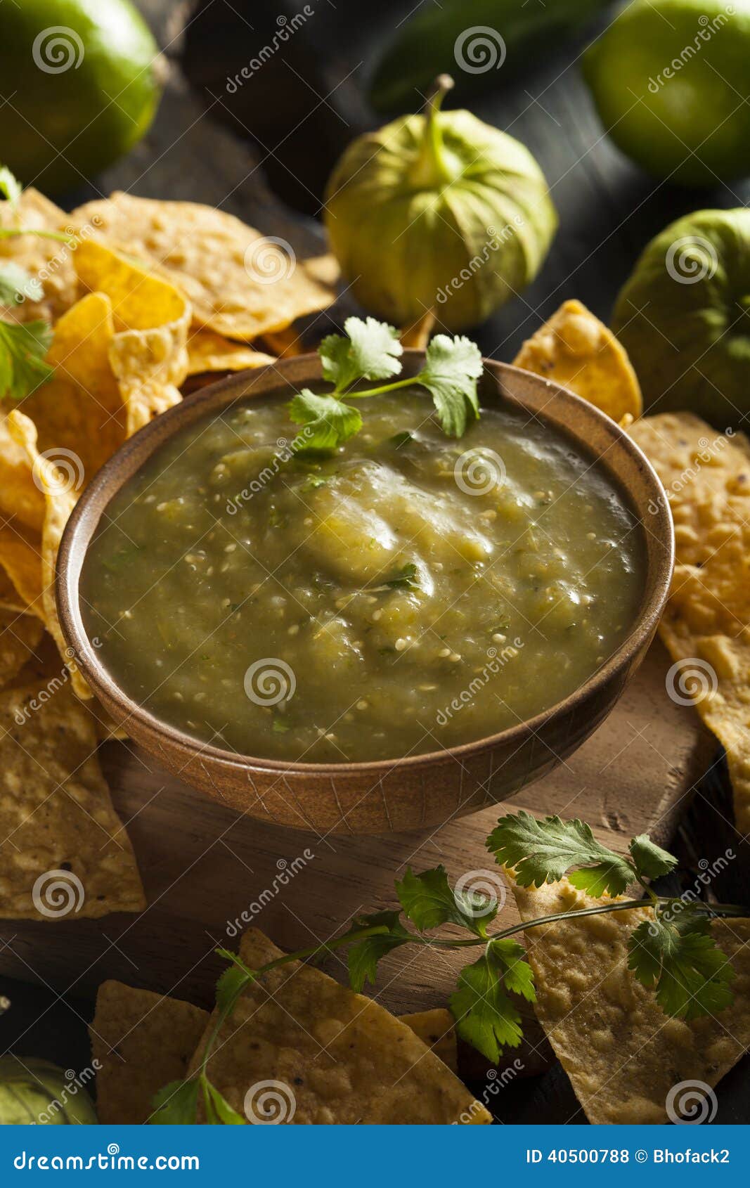 Homemade Salsa Verde with Cilantro Stock Photo - Image of organic ...