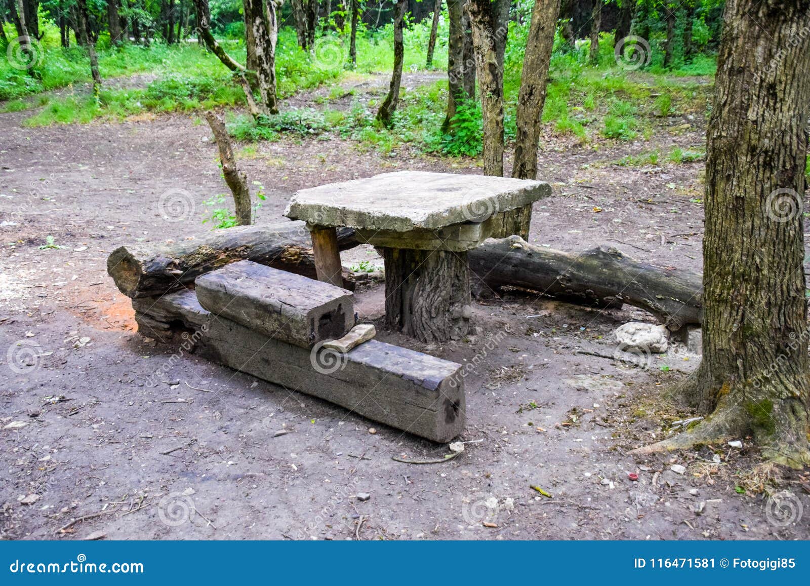 A Homemade Table and Benches in the Forest Stock Image - Image of ...
